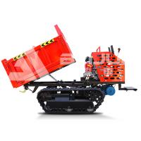 China 2 Ton Steel Rubber Track Crawler Dumper Truck 2800x1200x1500mm for Complex Terrain for sale