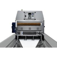 China Industrial Vacuum Packing Machine Fruit Vacuum Tray Sealer Packaging Machine for sale