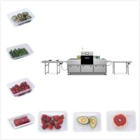 China Horizontal Packaging Machine Chicken Vacuum Packing Machine For Sea Food for sale