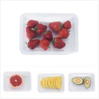 China IP65 Fruit Vegetable Packing Machine Plastic Trays Minipack Vacuum Sealer 390x280mm for sale