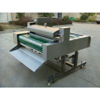China Stainless Steel Vacuum Packing Machine Food Packaging Sealer Adjustable Worktable for sale