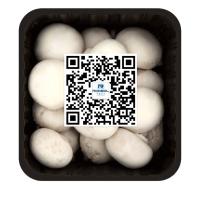 China Fruit Vegetable Modified Atmosphere Gas Flushing Tray Sealer 220V 50Hz for sale