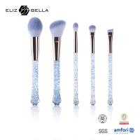 China 5pcs Transparent Plastic Handle Cosmetic Brush Set Customized Packag for sale