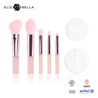 China 5pcs Cute Travel Makeup Brush Kits With Clear Printing PVC Packaging Box OEM for sale
