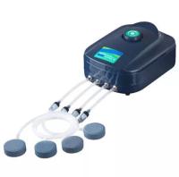 China 220V Fish Tank Oxygen Pump Noise Reduction Dual Outlet Air Pump With Accessories Stones Tubes for sale