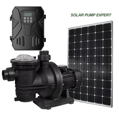 China Sturdy SS304 Solar Swimming Pool Pump In Ground Water Park for sale