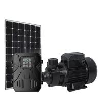China Deep Well Stainless Steel Solar Surface Water Pump For Water Removal Lawn Garden for sale
