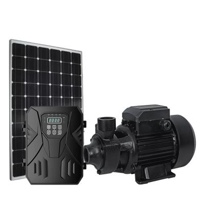 China Deep Well Stainless Steel Solar Surface Water Pump For Water Removal Lawn Garden for sale