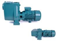 China Stainless Metal Variable Speed Water Pump , Swimming Pool Water Booster Pump for sale