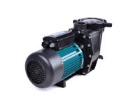 China Excellent Performance Above Ground Water Pump , High Pressure Electric Pool Pump for sale