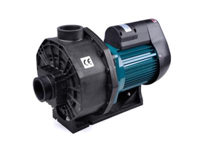 China Commerical 2hp Water Pump Anti Corrosive For Water Treatment System for sale