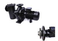 China 11kw Agricultural Irrigation Water Pump Direct Coupled Type Easy Installation for sale