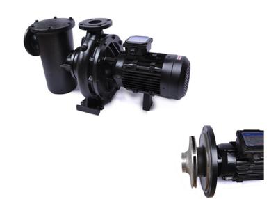 China 11kw Agricultural Irrigation Water Pump Direct Coupled Type Easy Installation for sale
