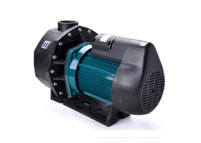 China Water Park Use Swimming Pool Water Pump With 100 Percent Pure Copper Motor for sale