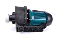 China High Head Big Flux Hydroponic Water Pump With PPO Impeller IP55 Protection level for sale