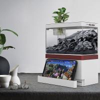 China Mini Table USB Aquarium Fish Tank With Light LED Display 18CM Hight for sale