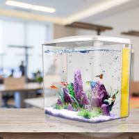China Small Desktop Aquarium Fish Tank With LED Light And Filter Pump for sale