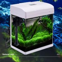 China Underwater Gradient Dream Aquarium Fish Tank Mini Home Desktop Square Shape for sale