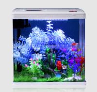 China 90L Office Bar Counter Aquarium Fish Tank Glass Custom Betta Decoration for sale