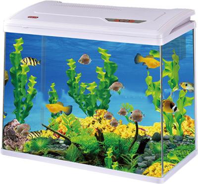 China 90L Office Bar Counter Aquarium Fish Tank Glass Custom Betta Decoration for sale