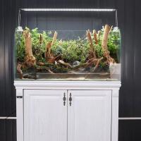 China IP68 Water Grass Led Lights Fish Tank Algae Plant Aluminum Alloy High Bracket Adjustable for sale