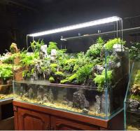 China IP68 Water Grass Led Lights Fish Tank Algae Plant Aluminum Alloy High Bracket Adjustable for sale
