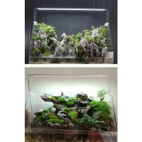 China IP68 Water Grass Led Lights Fish Tank Algae Plant Aluminum Alloy High Bracket Adjustable for sale