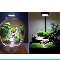 China 5W 7W Small Aquarium Grass Light Coral Reef Algae Amphibious Landscape Lamp for sale