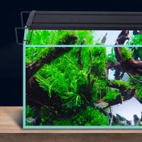 China Spectrum Freshwater Aquarium LED Light Coral Marine Landscaping Plant And Fish Colorful for sale