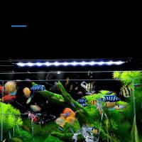 China Spectrum Freshwater Aquarium LED Light Coral Marine Landscaping Plant And Fish Colorful for sale