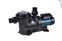 China Electric 1.1 Kw Running Swimming Pool Water Pump 2Hp Single Stage for sale