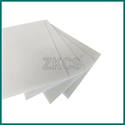 China PP Hollow Board – Lightweight, Durable, and Versatile Plastic Sheets for advertising and display for sale