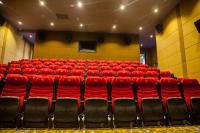 China High Wear Resistance Theater Room Seating Flexible Plastic Armrest Color Non Faded for sale