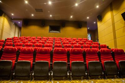 China High Wear Resistance Theater Room Seating Flexible Plastic Armrest Color Non Faded for sale