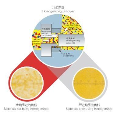 China Two Stage High Pressure Industrial Homogenizer Equipment Iso Ce Certificate for sale