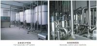 China Customized Milk Processing Line High Productivity With Cip System for sale