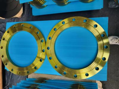 China BS4504 DIN Pn16 Plate RF 304 Stainless Steel Flange 316L For Petrochemical Industry for sale