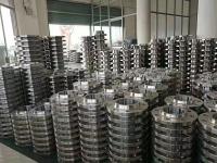 China Pn6/10/16/25 Forged Stainless Steel Flanges Rustproof Wear Resisting for sale