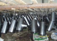 China Authentic DIN GB JIS Seamless Pipe Fittings Tee A234 WP12 Seamless for sale