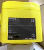 China VEGACAP 98 Capacitive Rod Probe for Level Detection G1½ Thread for sale