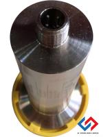 China Endress+Hauser Liquipoint FTW33 Capacitance Level Sensor with Hygienic Certificates Conductive Foam Detection and CIP/SIP Suitable for sale