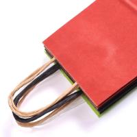 China Offset Printing Coated Paper Shopping Bag For Shopping Paper Bag for sale