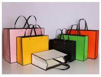China Colorful Printed Paper Shopping Bag With Ribbon Handle Clothing Packaging for sale