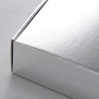China Silver Color E Flute Corrugated Box With Embossing Logo Mail Shipping Gift Packaging for sale