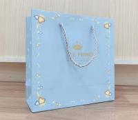China Multipurpose Flat Handle Paper Bags , Reusable Paper Shopping Bags Blue for sale