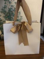 China Customized Color 100g Craft Shopping Paper Bag With Ribbon Handle for sale
