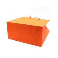 China Panton Color Printed Paper Shopping Bag Industrial ODM Welcome for sale