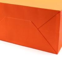 China Panton Color Printed Paper Shopping Bag Industrial ODM Welcome for sale