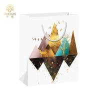 China Coated Printed Paper Shopping Bag , Garment Shopping Bag Customized Size for sale