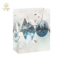 China Coated Printed Paper Shopping Bag , Garment Shopping Bag Customized Size for sale